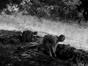 Crew Stations | The Sherman Tank Site